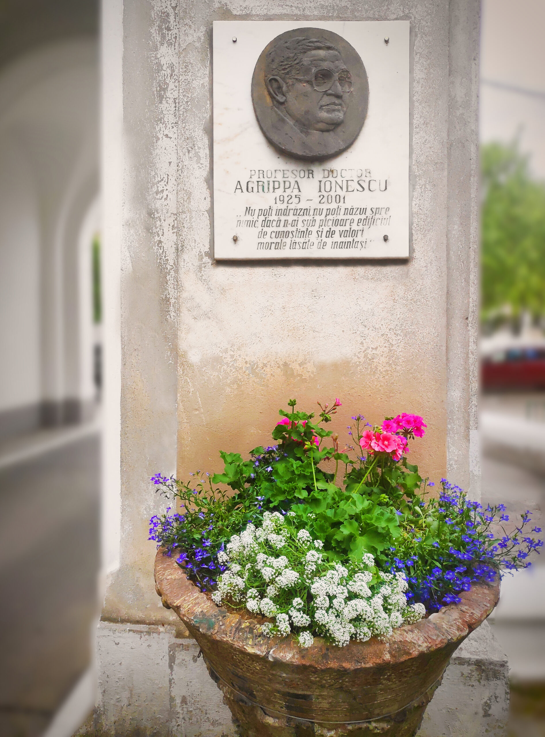 Despre Noi – Spitalul Clinic de Urgență „Prof. Dr. Agrippa Ionescu“